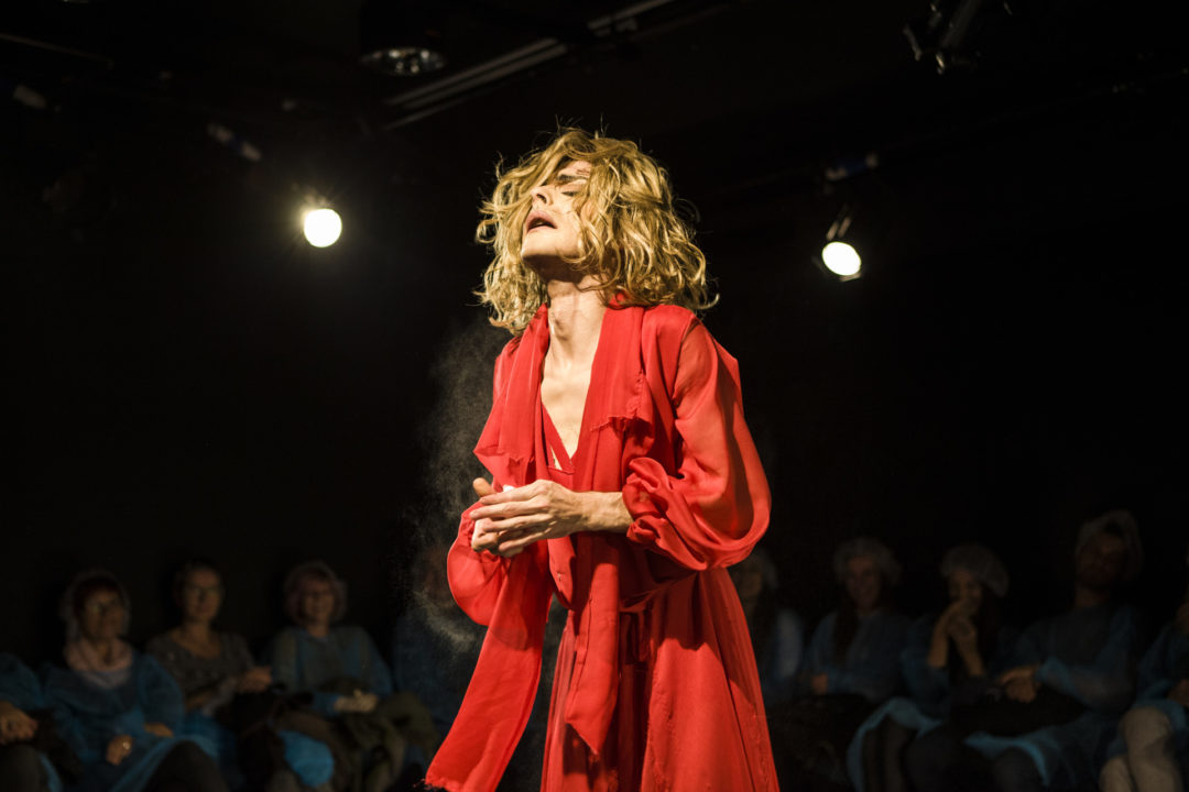 Lažna dojka – Sindikat odklonskih entitet